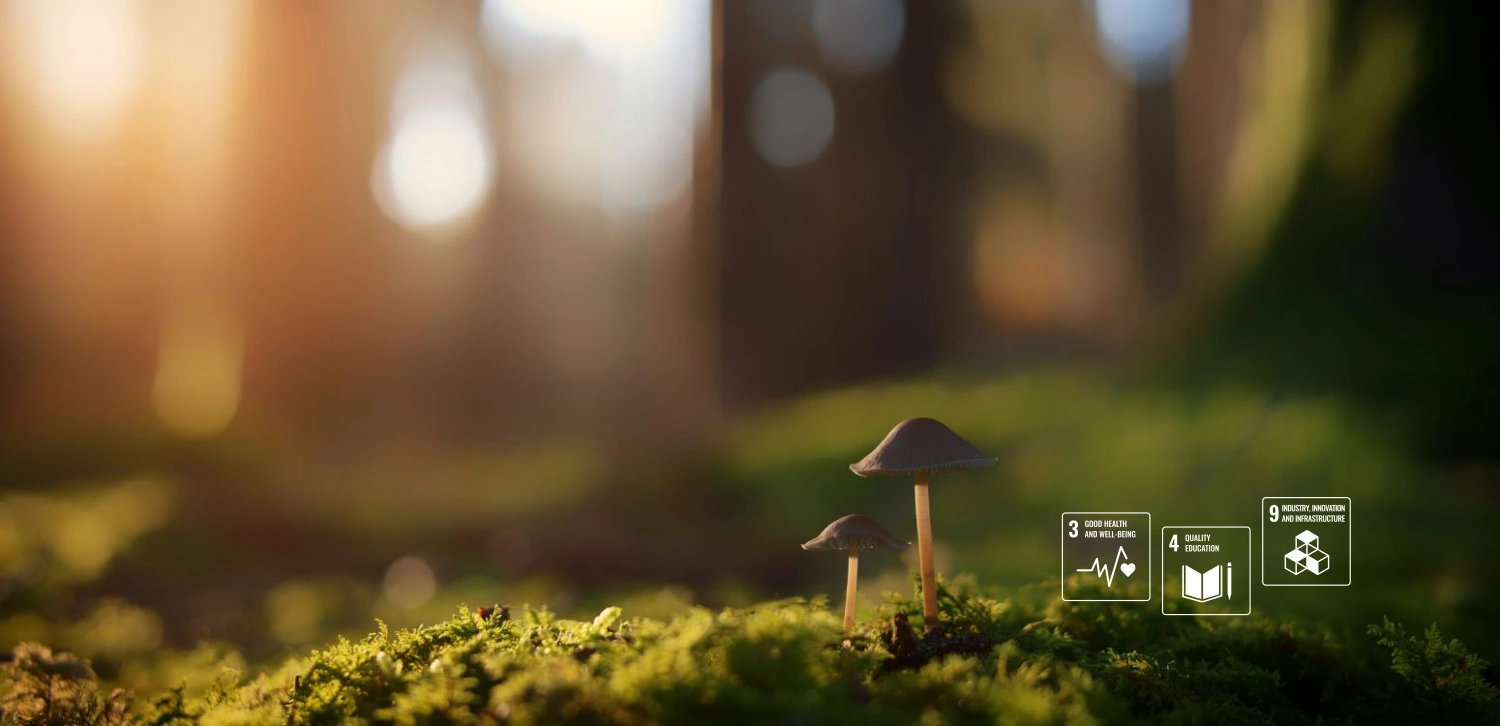 Environmental, Social and Corporate Governance - Iute Group