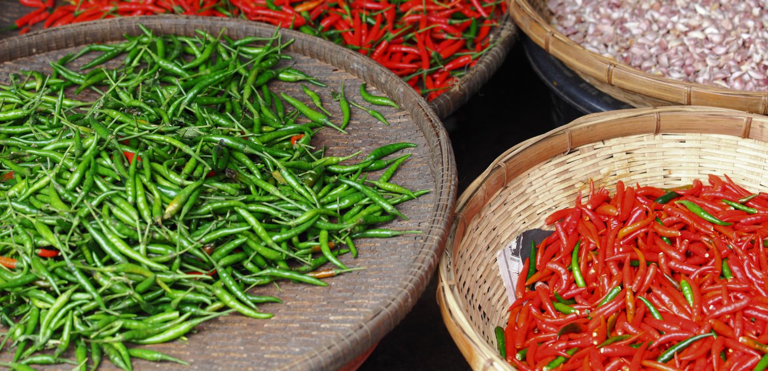 Markets - Iute Group