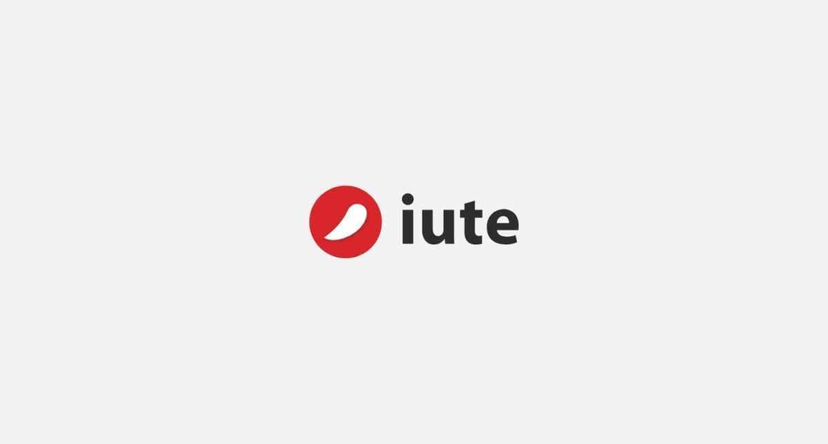 Iute Group disclosed financial statements – Iute Group